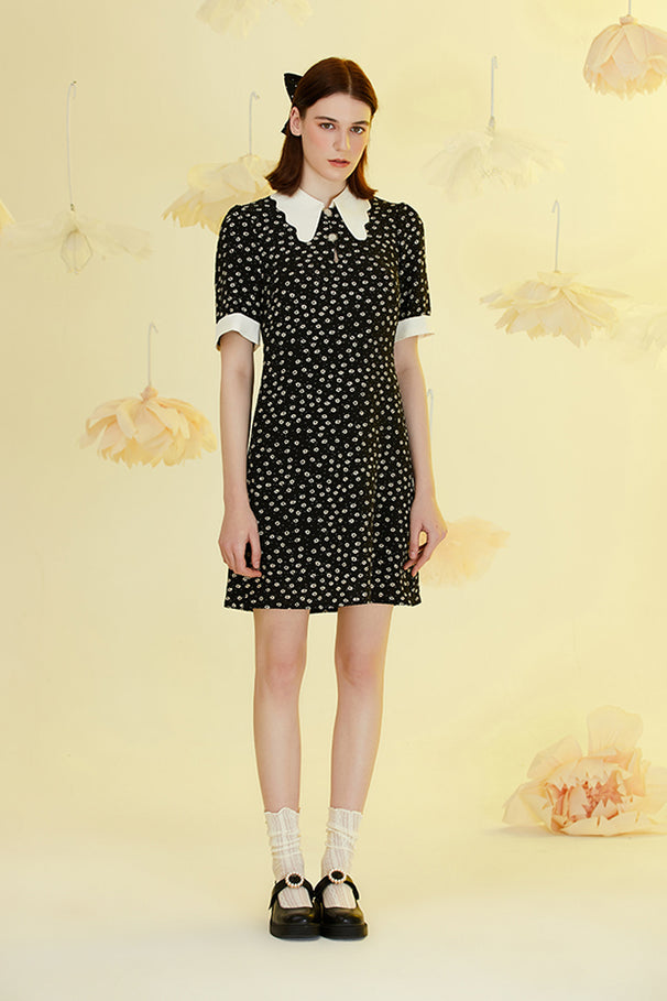 Ditsy Daisy Dress – Miss Patina